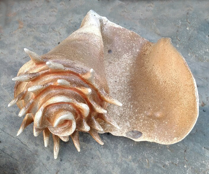 Student Ceramics Exhibition – University Galleries