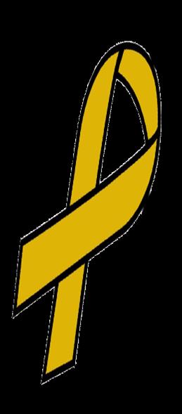 GI Bill and Yellow Ribbon Programs - Veterans Services - Saint Joseph's ...